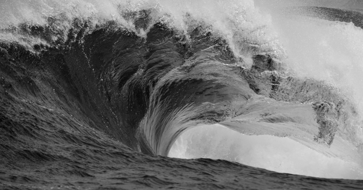 Silver Tsunami Highlights Need for Professional Guidance